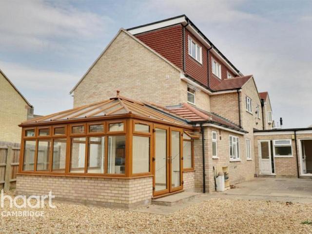 1 bedroom house share to rent