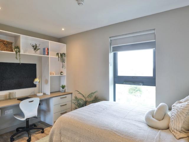 1 bedroom house share to rent
