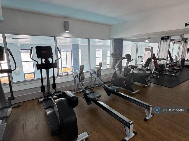 1 bedroom house share to rent