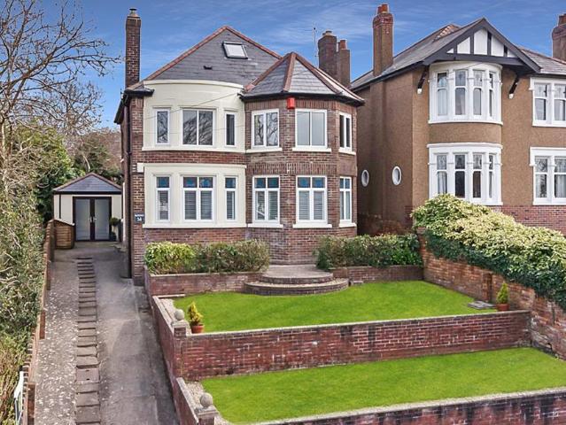 1 bedroom house share to rent