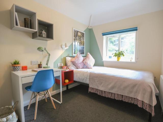 1 bedroom house share to rent