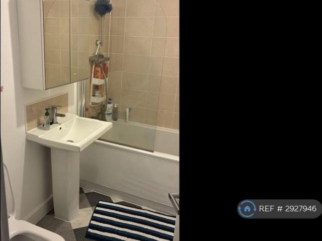 1 bedroom house share to rent