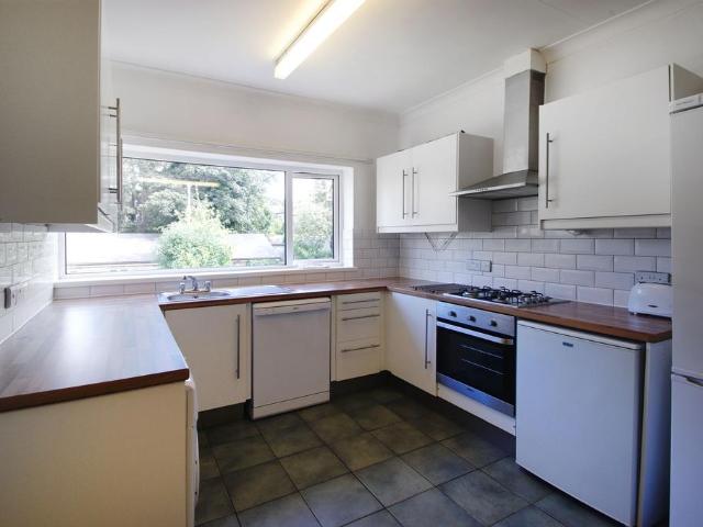 1 bedroom house share to rent