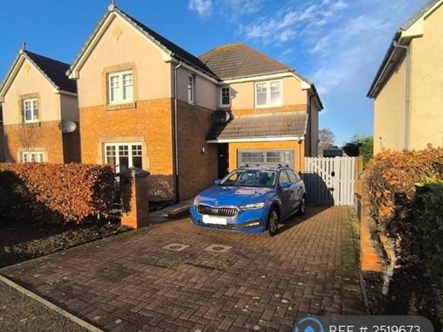 1 bedroom house share to rent