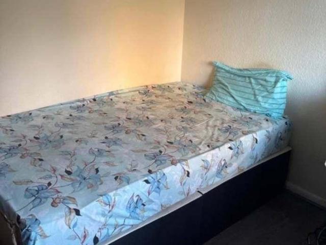 1 bedroom house share to rent