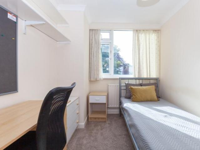 1 bedroom house share to rent