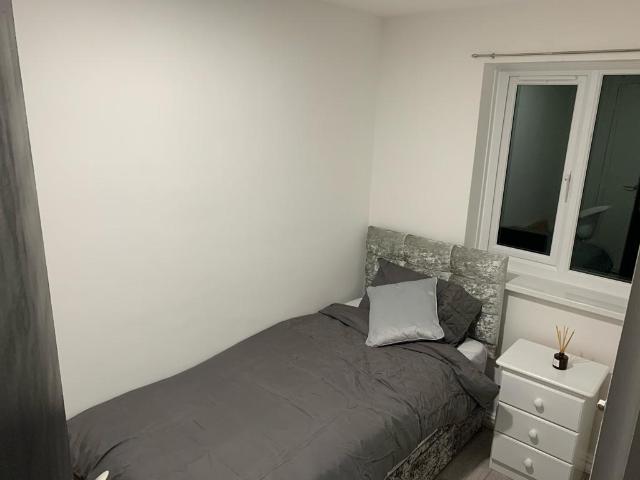 1 bedroom house share to rent