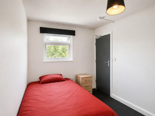 1 bedroom house share to rent