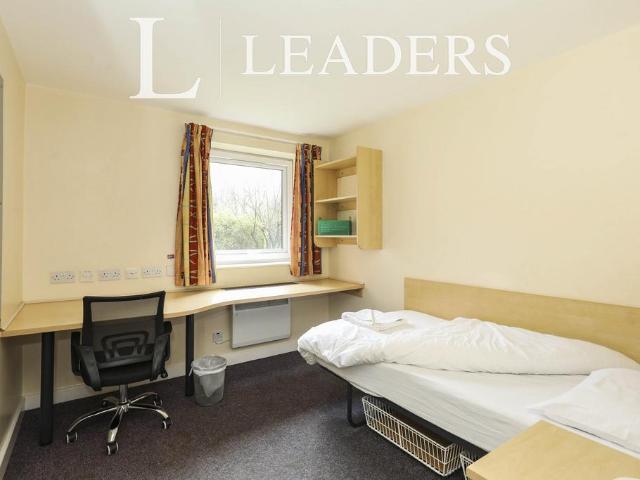 1 bedroom house share to rent