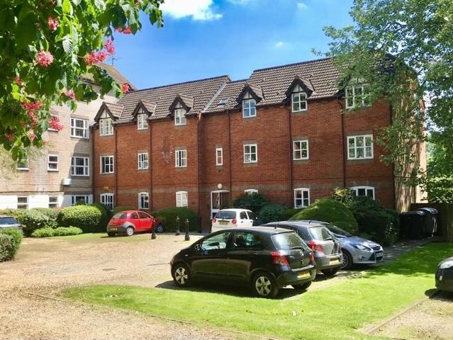 1 bedroom house share to rent
