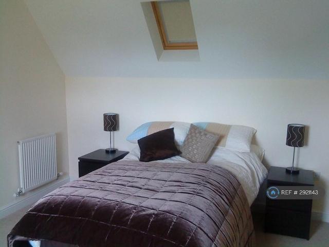 1 bedroom house share to rent
