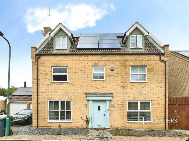 1 bedroom house share to rent