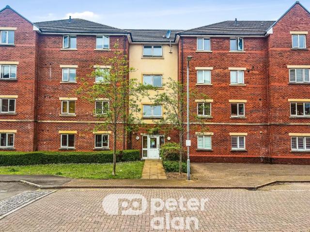 1 bedroom house share to rent