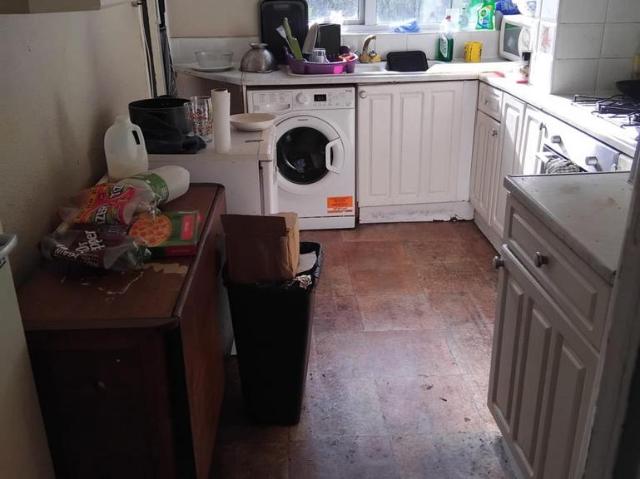 1 bedroom house share to rent