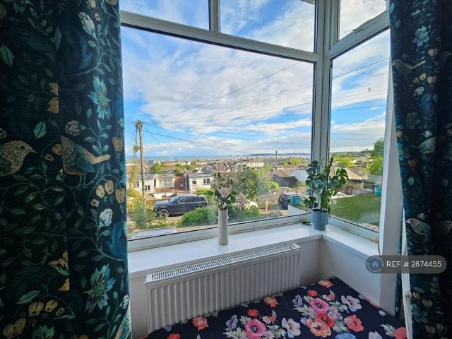 1 bedroom house share to rent