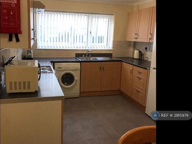 1 bedroom house share to rent