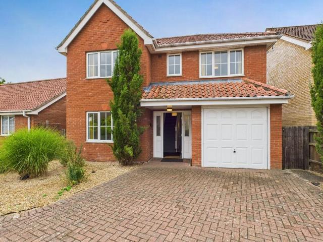 1 bedroom house share to rent