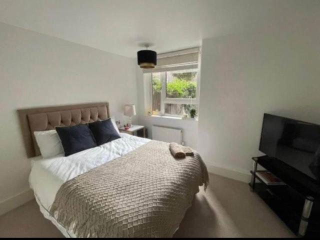 1 bedroom house share to rent