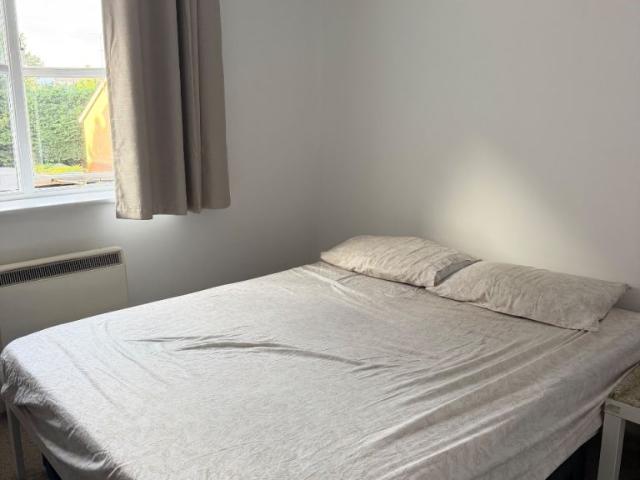 1 bedroom house share to rent