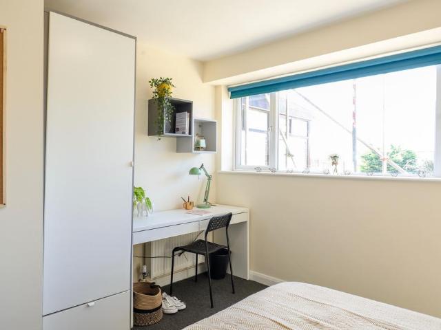 1 bedroom house share to rent