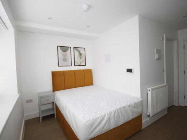 1 bedroom house share to rent