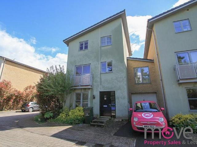 1 bedroom house share to rent