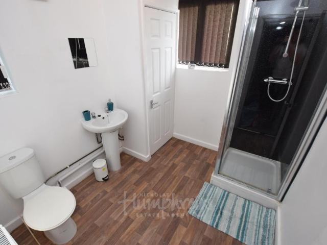 1 bedroom house share to rent