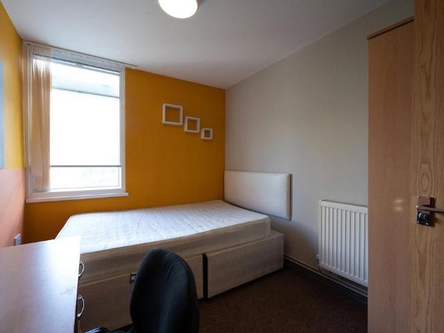 1 bedroom house share to rent