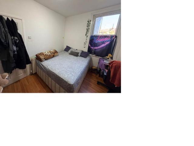 1 bedroom house share to rent