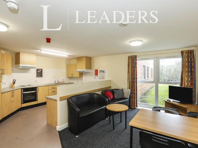 1 bedroom house share to rent