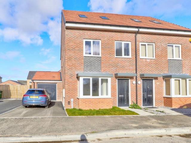 1 bedroom house share to rent