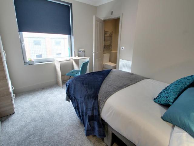 1 bedroom house share to rent