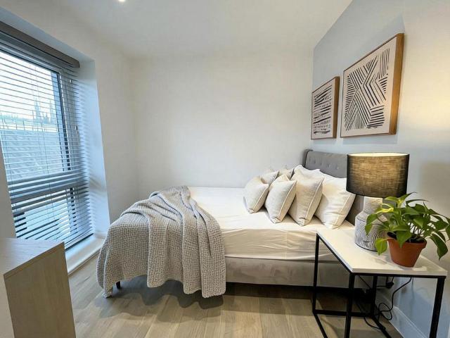 1 bedroom house share to rent