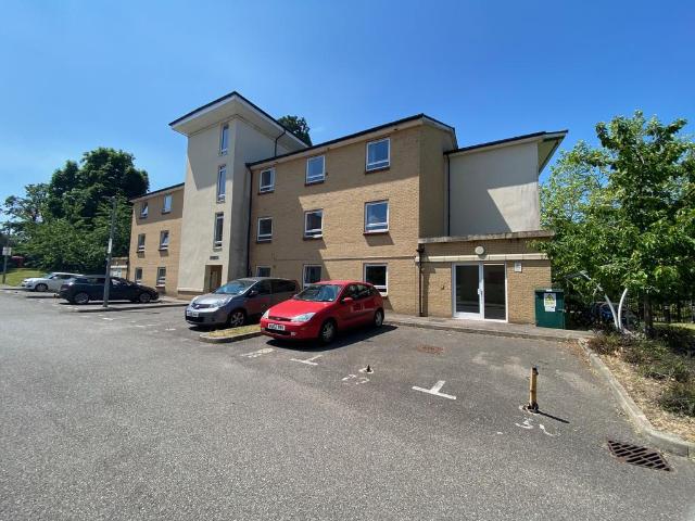 1 bedroom house share to rent
