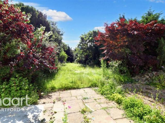 1 bedroom house share to rent