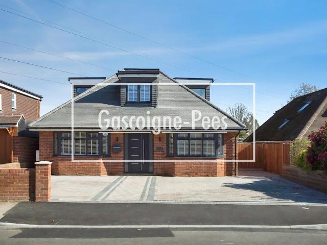 1 bedroom house share to rent