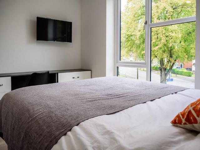 1 bedroom house share to rent