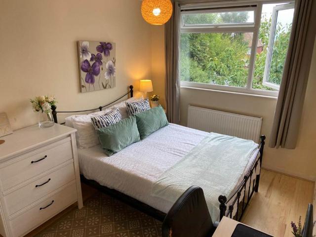 1 bedroom house share to rent