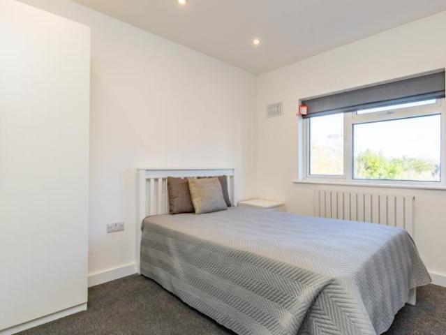 1 bedroom house share to rent