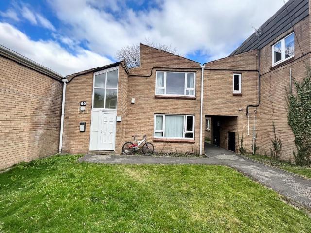1 bedroom house to rent