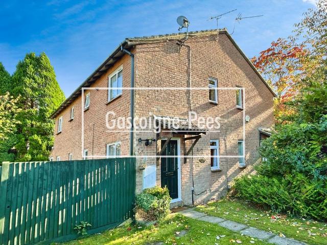1 bedroom house to rent