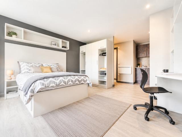 1 bedroom house to rent