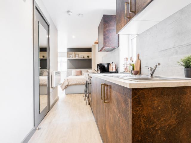 1 bedroom house to rent