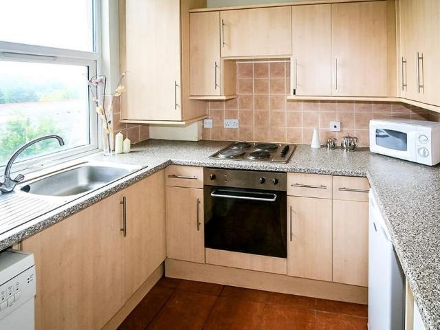 1 bedroom house to rent