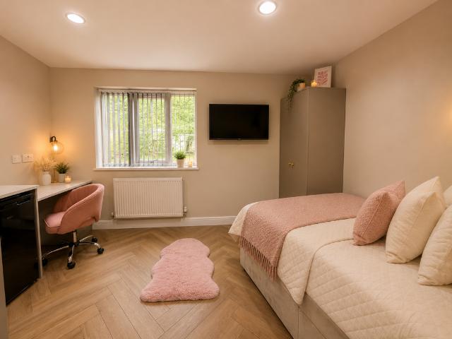 1 bedroom house to rent