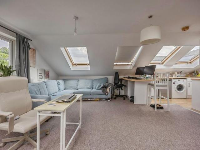 1 bedroom house to rent