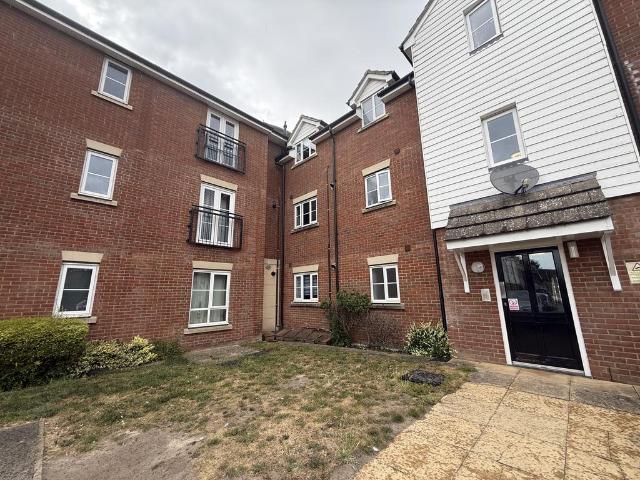 1 bedroom house to rent