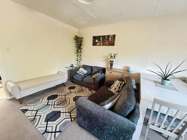 1 bedroom house to rent