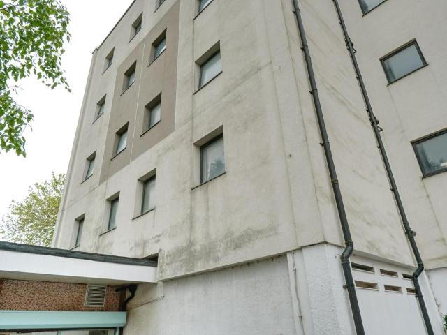 1 bedroom house to rent