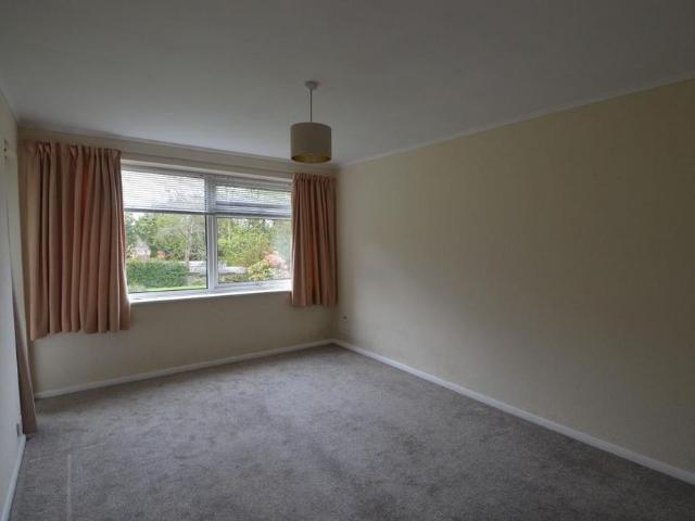 1 bedroom house to rent